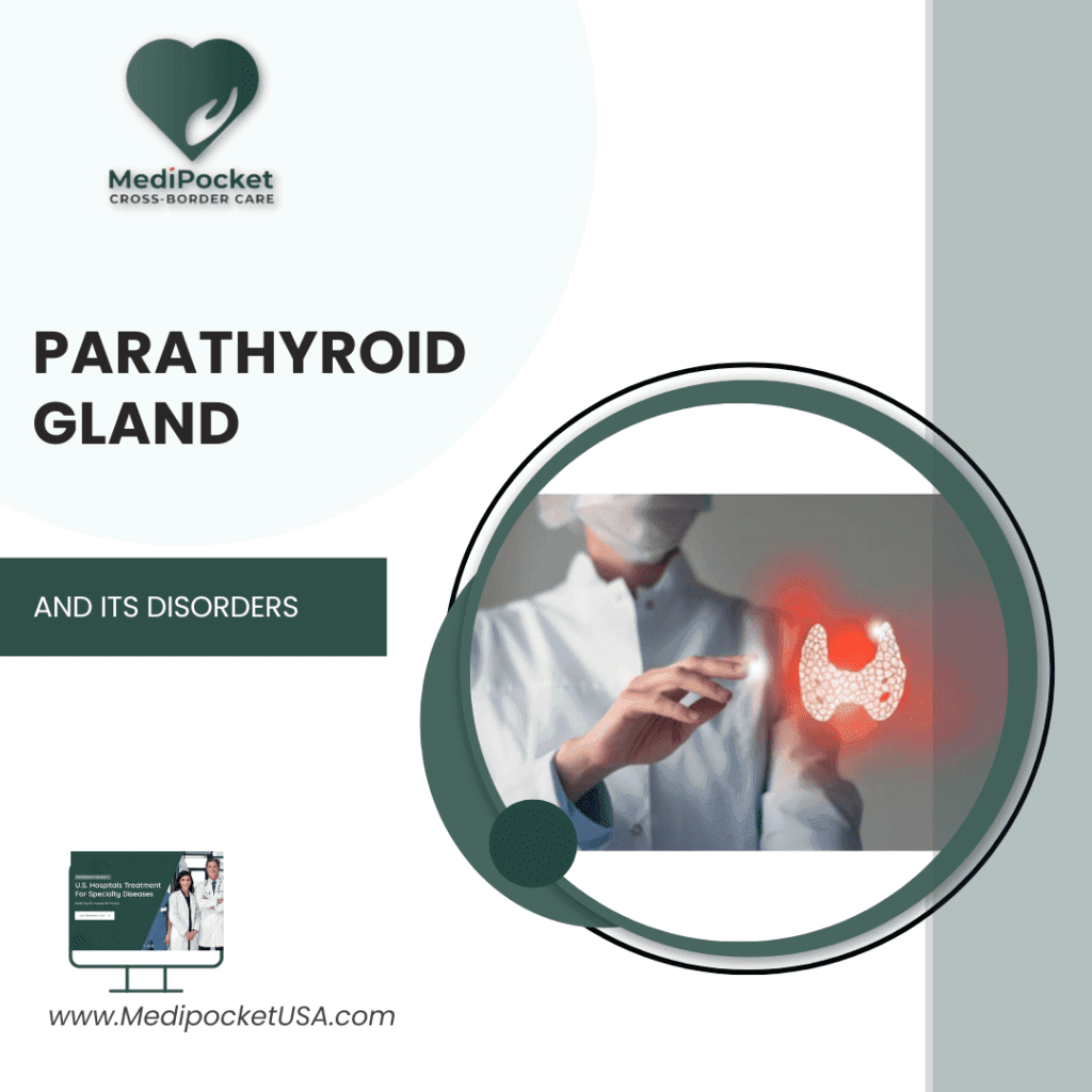 Parathyroid Gland Disorders: Causes and Treatments